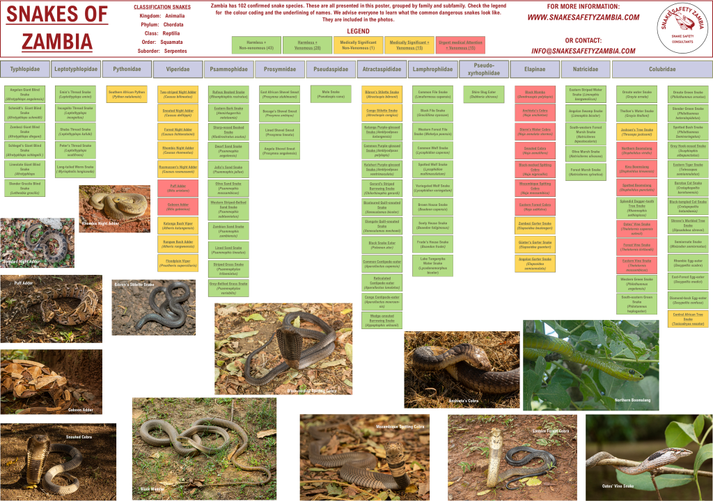 Information Posters – Snake Safety Zambia